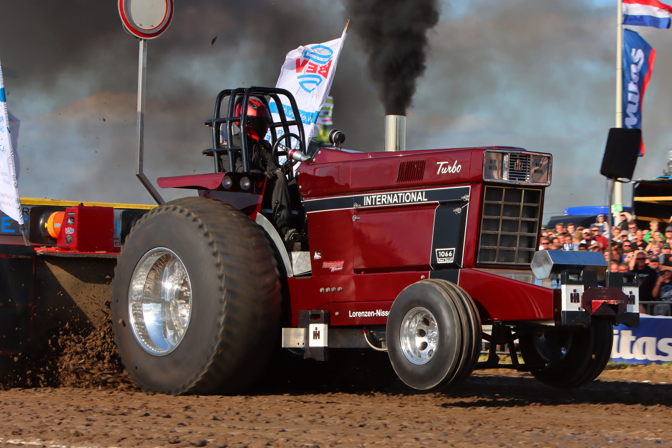 Red Devil (D) - ETPC