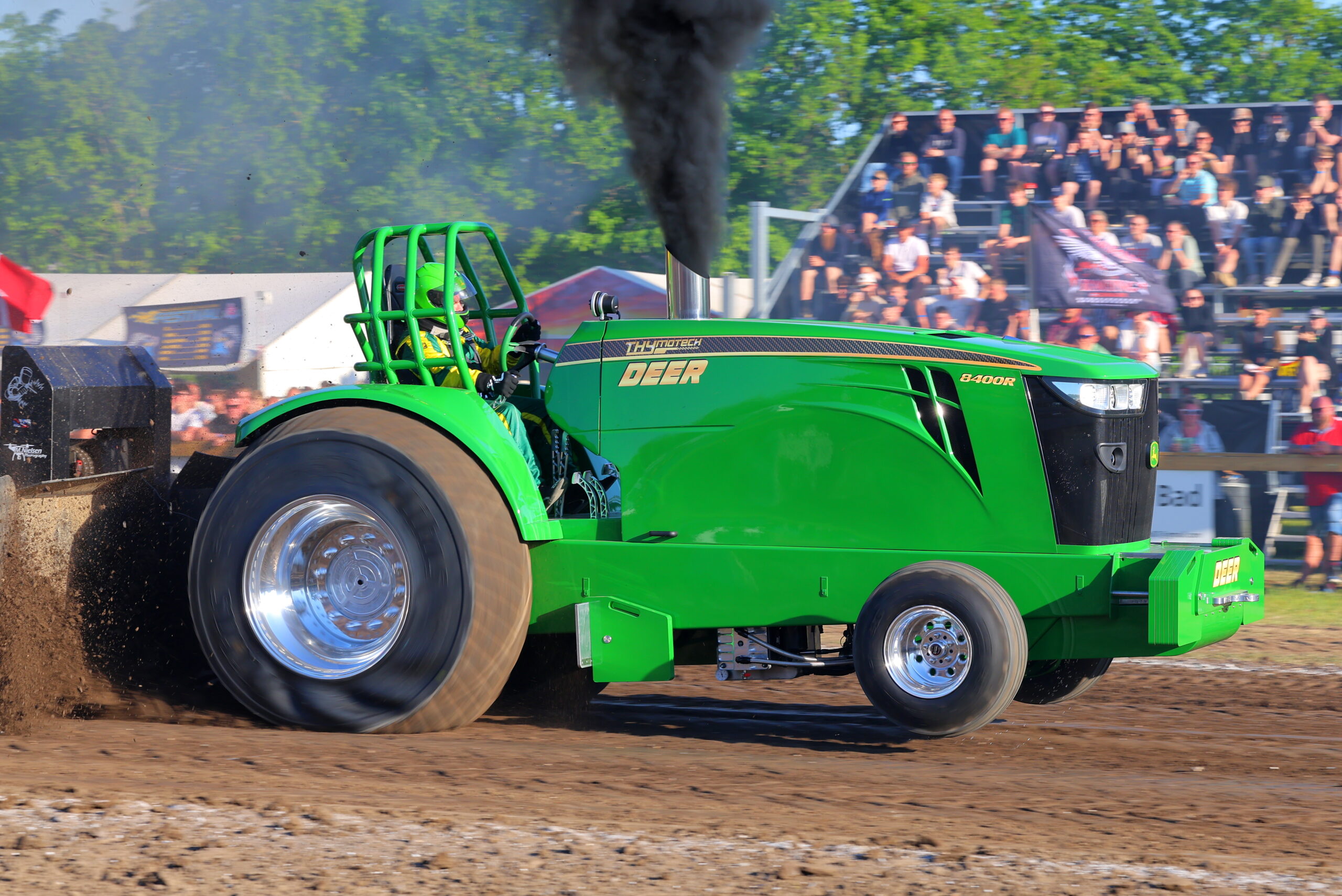 Thymotech Deer (DK) - ETPC